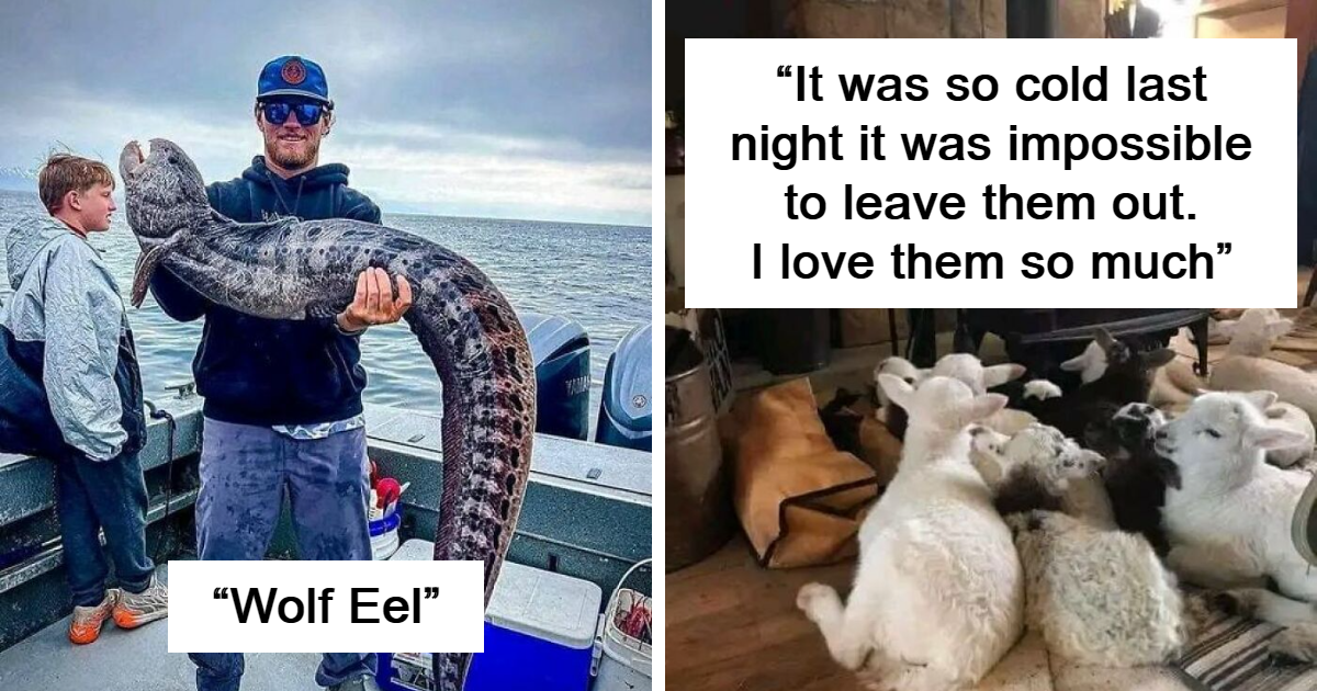 “All Things Strange And Unusual”: 50 Pics From This Weird Group | Bored ...