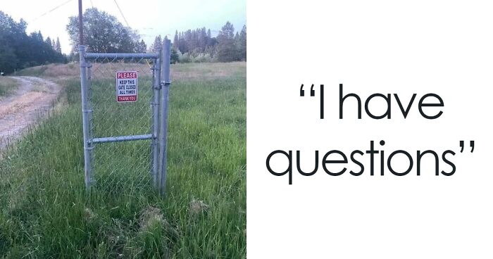 “All Things Strange And Unusual”: 50 Pics From This Weird Group | Bored ...