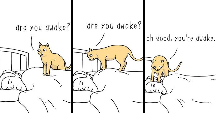 This Cartoonist Unveils What Animals Might Say If They Could Talk (30 ...