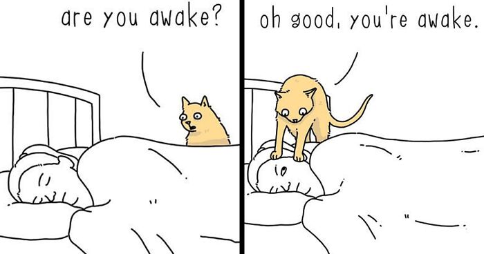 This Cartoonist Unveils What Animals Might Say If They Could Talk (30 ...