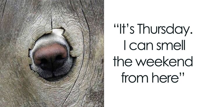 42 Thursday Memes To Get You Excited For The Weekend (New Memes ...