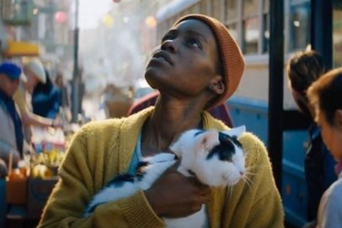 30 Times Cats Were Spotted In A Movie, Uncovered By This Account (New ...