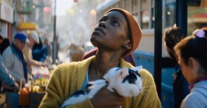 30 Times Cats Were Spotted In A Movie, Uncovered By This Account (New Pics)