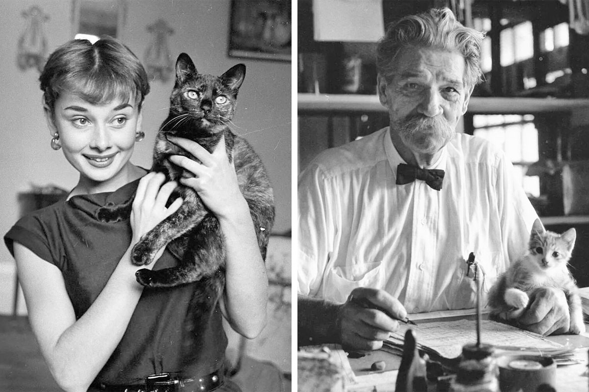 73 Vintage Photos Of Cats That Show Nothing Has Changed In Decades ...