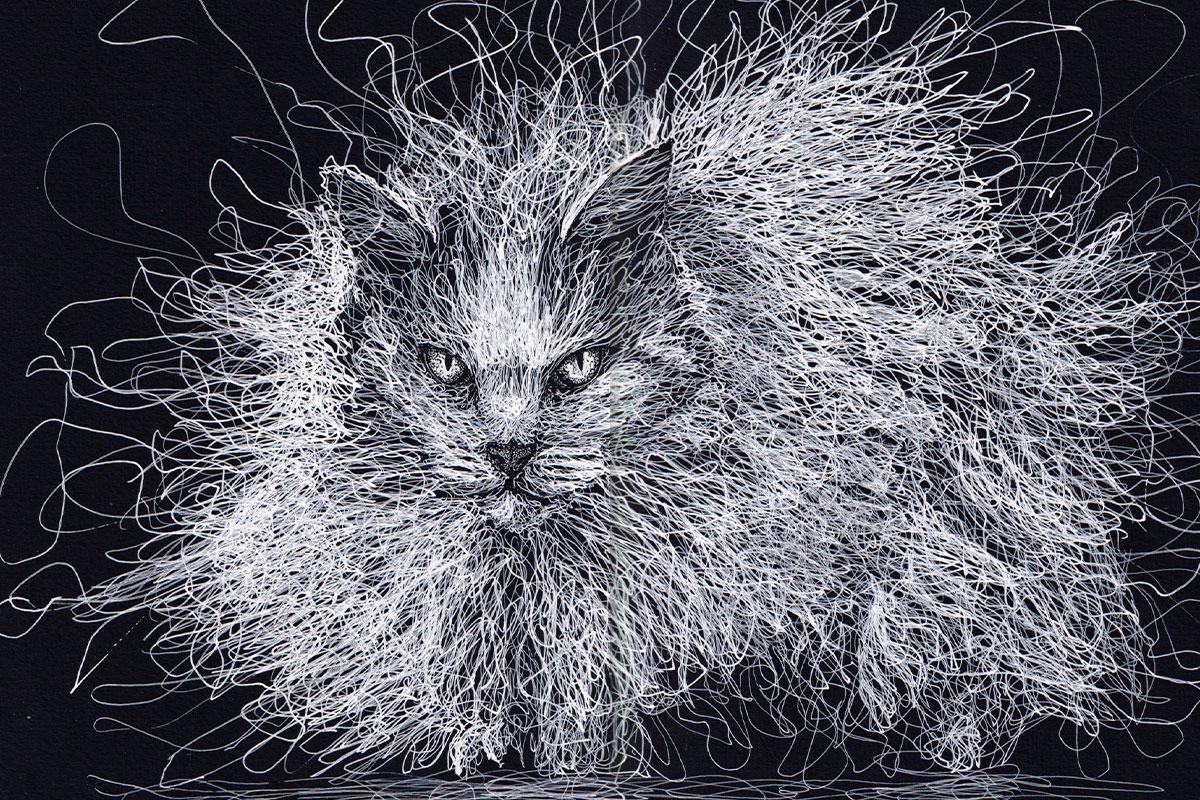 Years Ago, My Daughter Got Me A Sketchbook And I’ve Been Drawing White ...