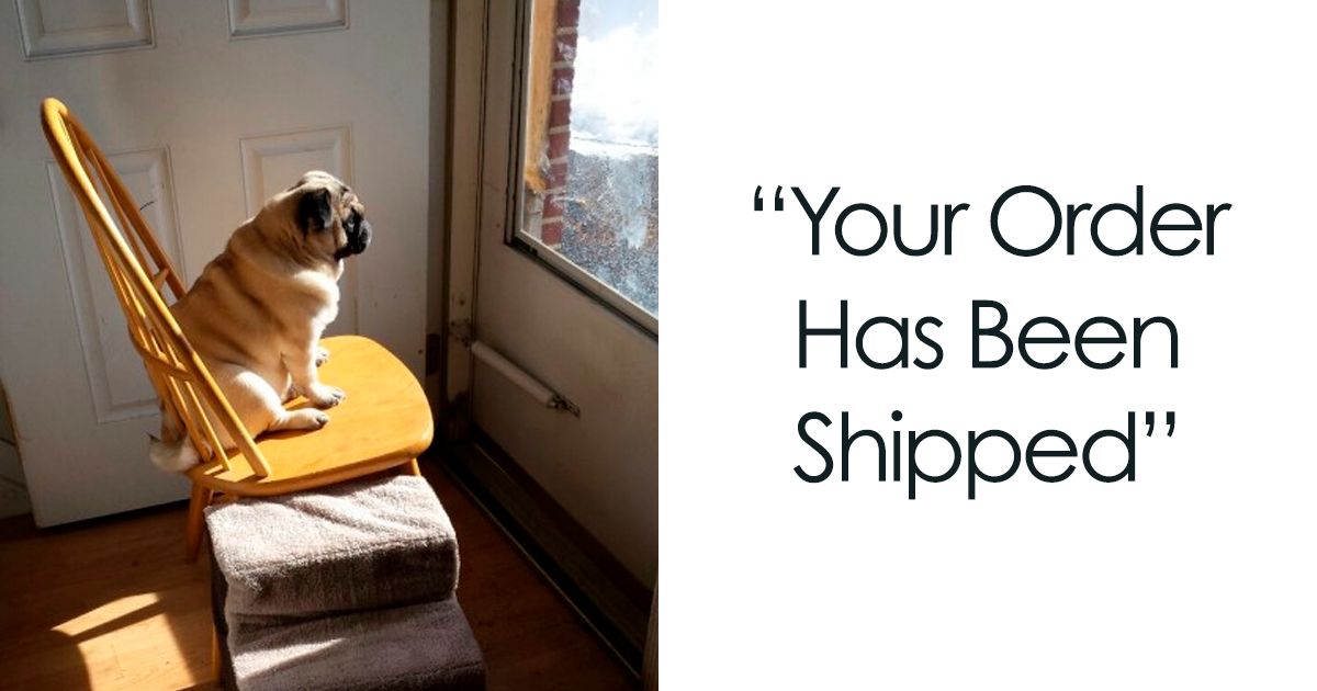 19 Waiting Memes For When You’ve Got Nothing But Time | Bored Panda