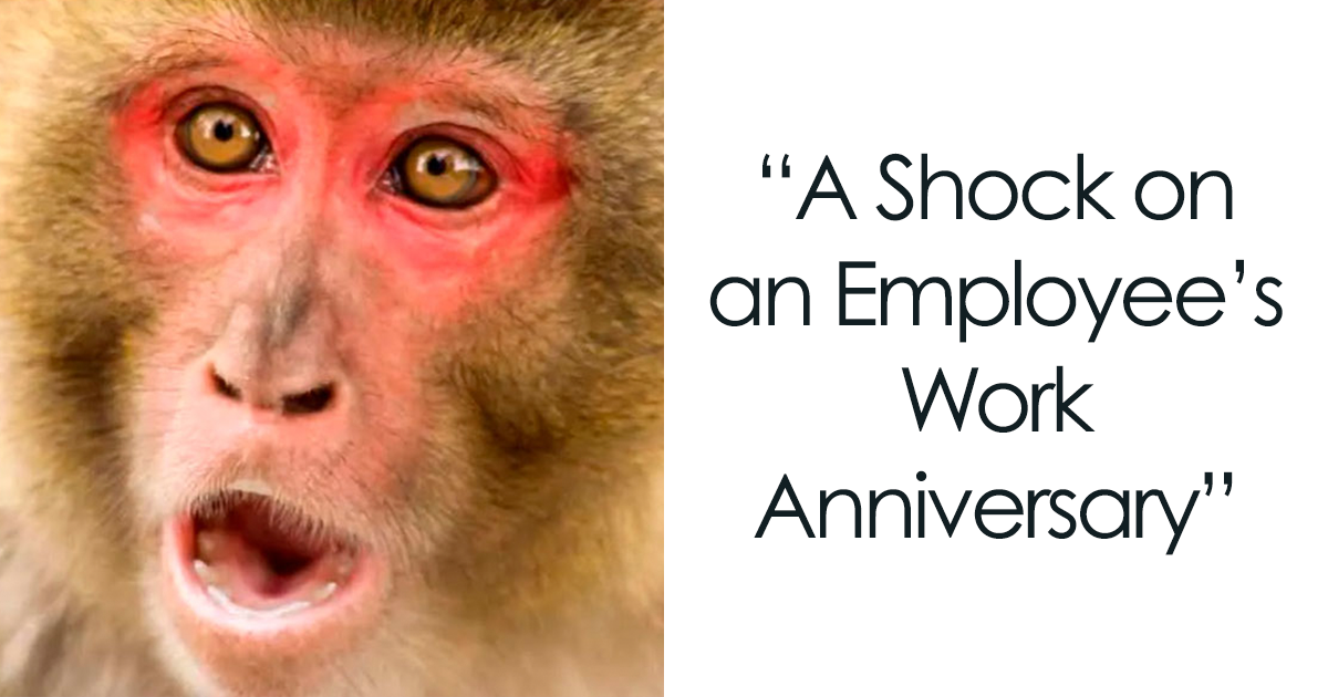 43 Hilarious Work Anniversary Memes That Hit Home | Bored Panda