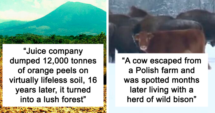 50 Of The Most Interesting Facts Ever Posted On “Today I Learned”