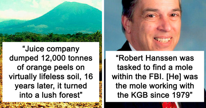 50 Of The Most Interesting Facts Ever Posted On “Today I Learned”