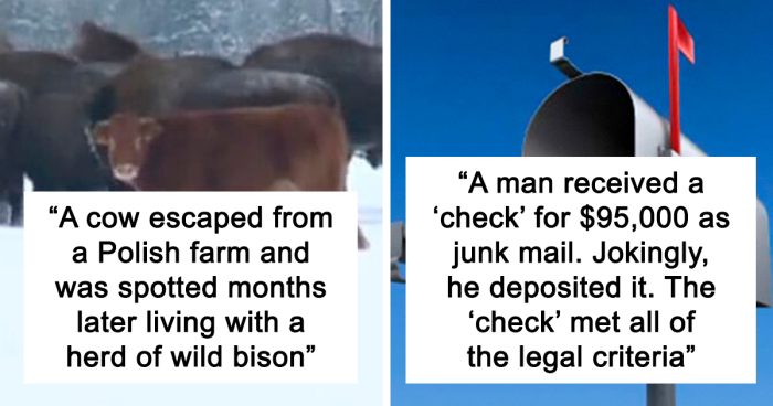 50 Of The Most Interesting Facts Ever Posted On “Today I Learned”