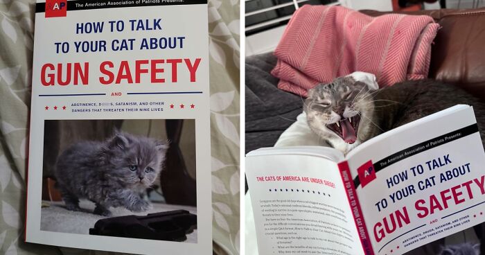 20 Book Titles That Will Make You Cry Laugh Before You Even Crack The ...