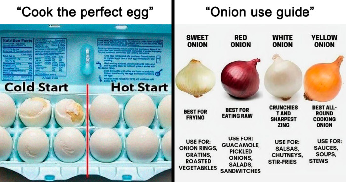 50 Informative Diagrams And Charts That Might Change The Way You Look ...