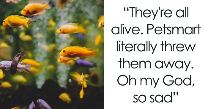 Dumpster Diver Finds Dozens Of Live Fish Just Tossed Away Behind A ...
