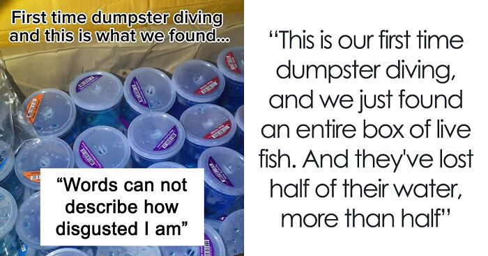 Dumpster Diver Finds Dozens Of Live Fish Just Tossed Away Behind A ...