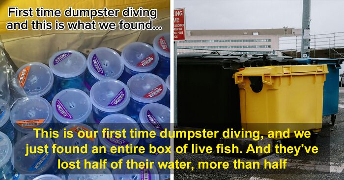 Dumpster Diver Finds Dozens Of Live Fish Just Tossed Away Behind A ...