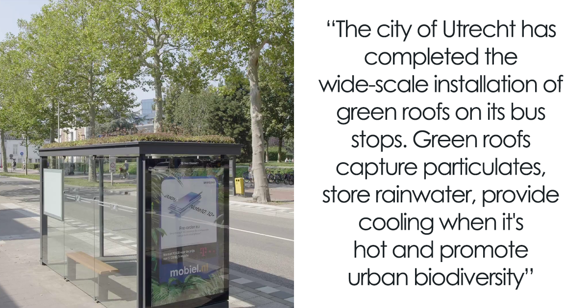 People Online Are Amazed By Dutch City That Recently Installed Over 300 ...