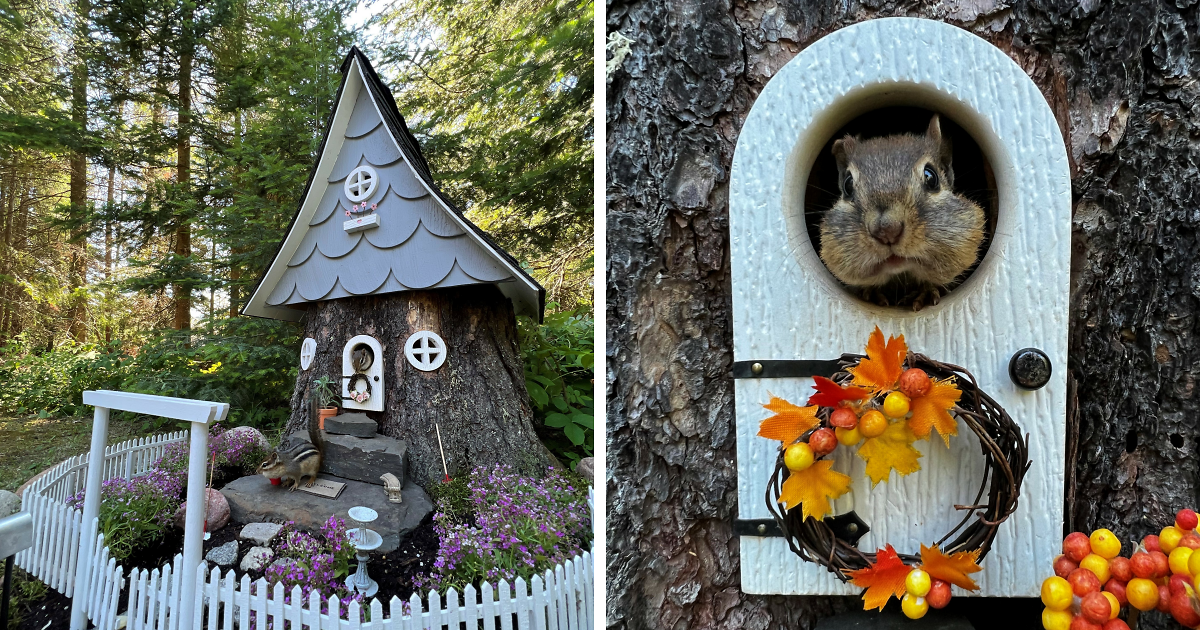 I Made A Tree Stump House | Bored Panda