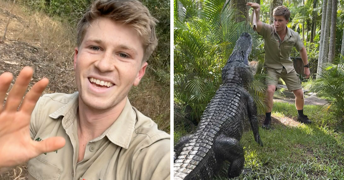 Robert Irwin Suffers Freak Accident While On Top Of Crocodile’s Head ...