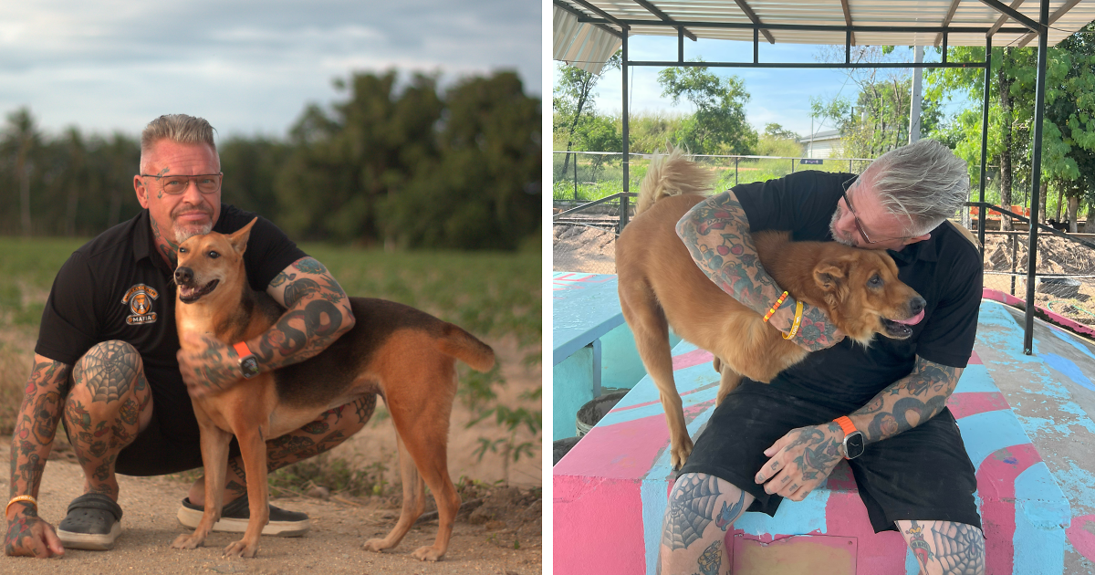 “Together For The Love Of Dogs”: Author Hosts Week-Long Virtual Party ...