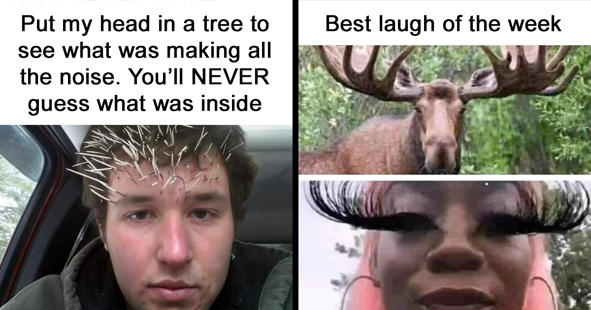 People Who Enjoy Being Outdoors Shared These 50 Relatable Memes On This ...