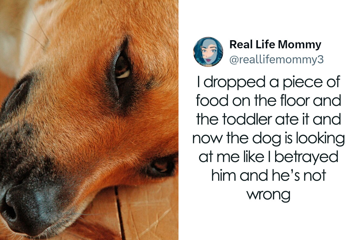 50 Hilarious Tweets From Parents Who Aren’t Afraid To Tell It Like It ...