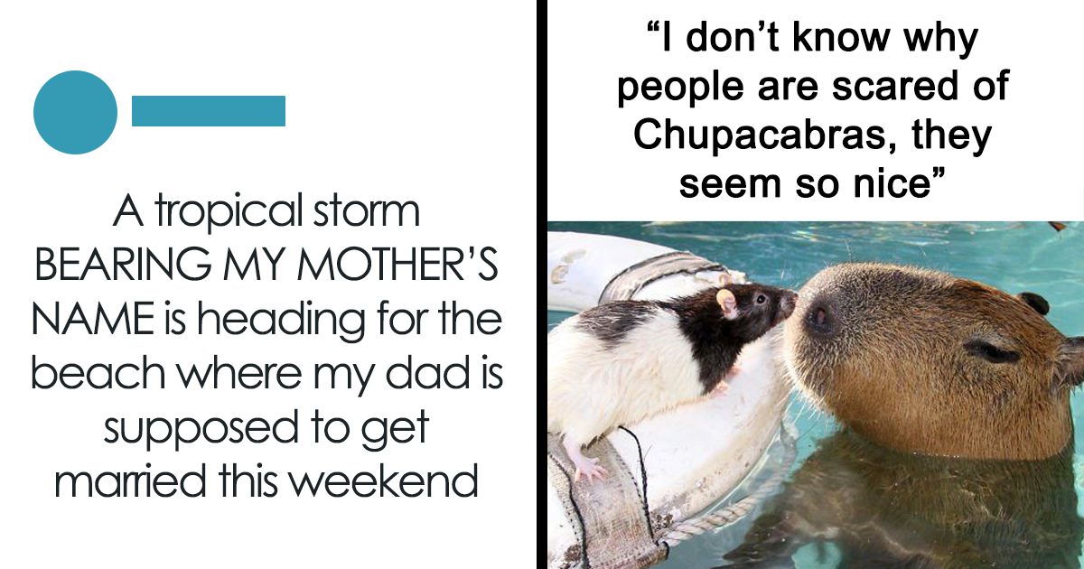 50 Funniest Memes From An IG Page That Has 1.3M People Laughing