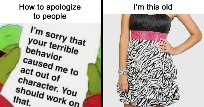 50 Hilariously Relatable Memes If You Need To Feel Seen Today