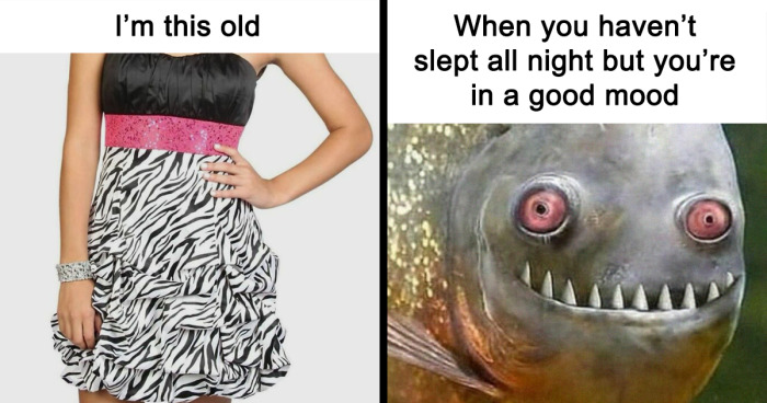 50 Hilariously Relatable Memes If You Need To Feel Seen Today