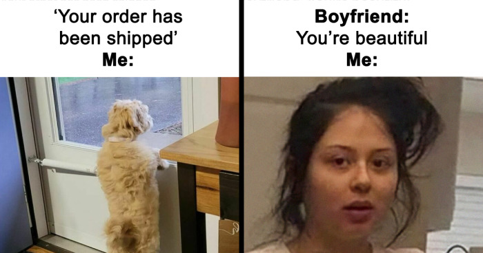 50 Hilariously Relatable Memes If You Need To Feel Seen Today