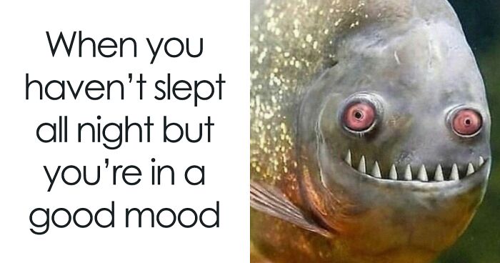 50 Hilariously Relatable Memes If You Need To Feel Seen Today