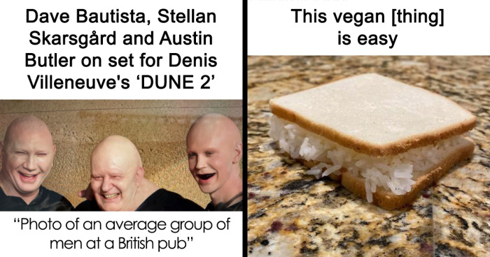45 Ridiculously Funny Memes To Scroll Through When You’re Having One Of ...