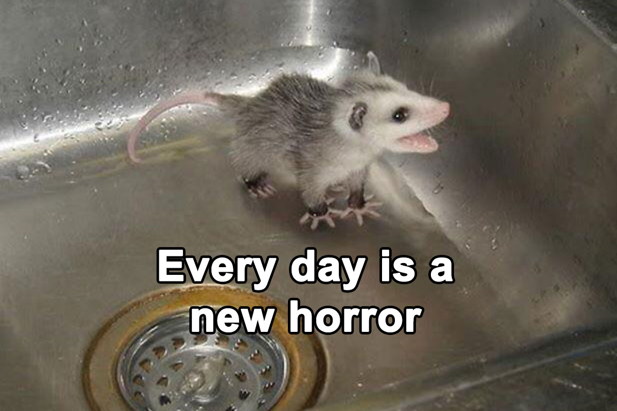 50 Memes That Turn Nothingness And Despair Into Something To Laugh ...