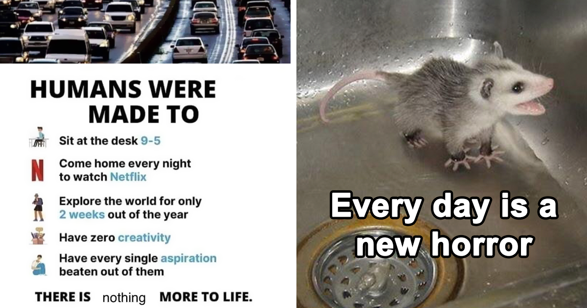 50 Memes That Turn Nothingness And Despair Into Something To Laugh ...