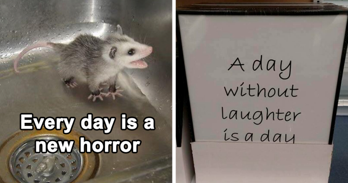 50 Memes That Turn Nothingness And Despair Into Something To Laugh About