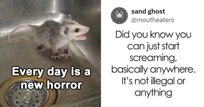 50 Memes That Turn Nothingness And Despair Into Something To Laugh About