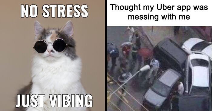 If You’re Having A Bad Day, These 35 Random Memes Might Be The Thing ...