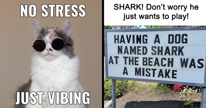 If You’re Having A Bad Day, These 35 Random Memes Might Be The Thing ...