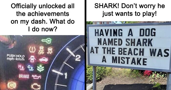 If You’re Having A Bad Day, These 35 Random Memes Might Be The Thing ...