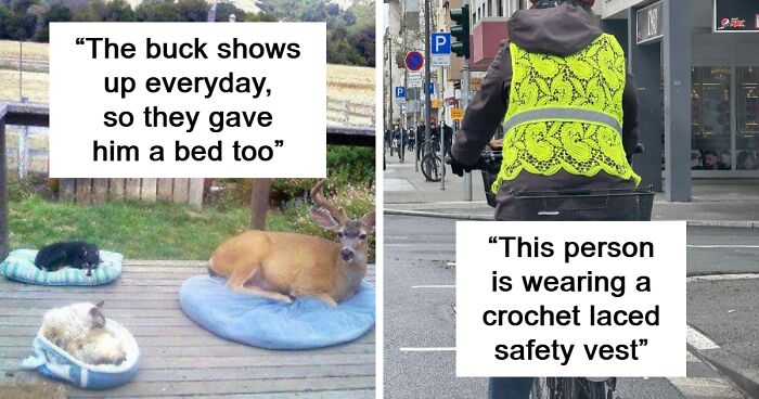 50 Very Random Pics To Bring A Sprinkle Of Joy Into Your Life | Bored Panda