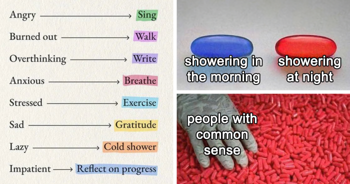 50 Hilariously Relatable Memes About Mostly Everything