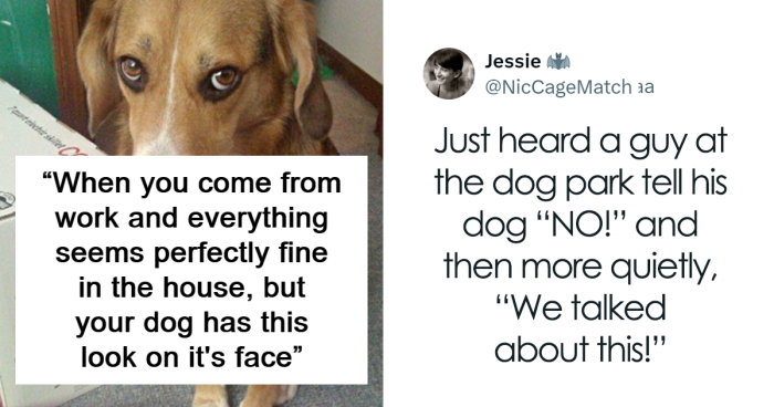 50 Of The Most Hilarious, Cute And Wholesome Posts On X About Dogs
