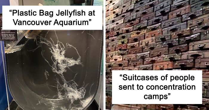 50 Museums That Went Above And Beyond To Make Sure The Experience Is ...