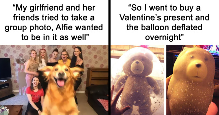 50 Heartwarming Posts To Combat The Negativity Of The World