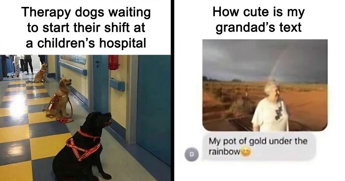 50 Wholesome Memes Shared By This Page To Brighten Up Your Day