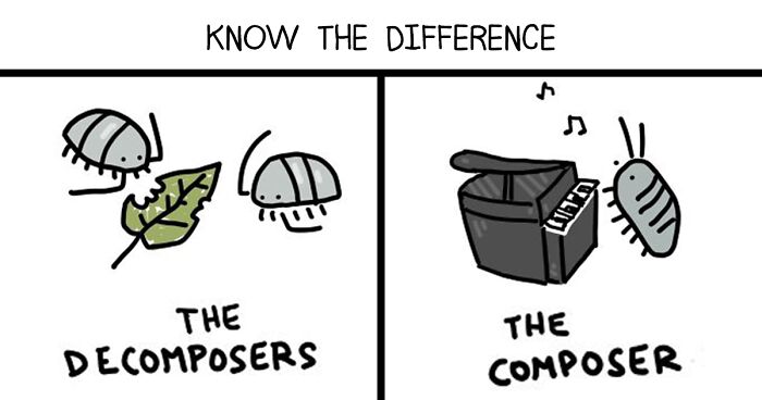 22 Illustrations Highlighting The Funny Differences Between Words That ...