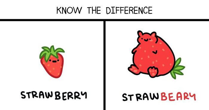 22 Illustrations Highlighting The Funny Differences Between Words That ...