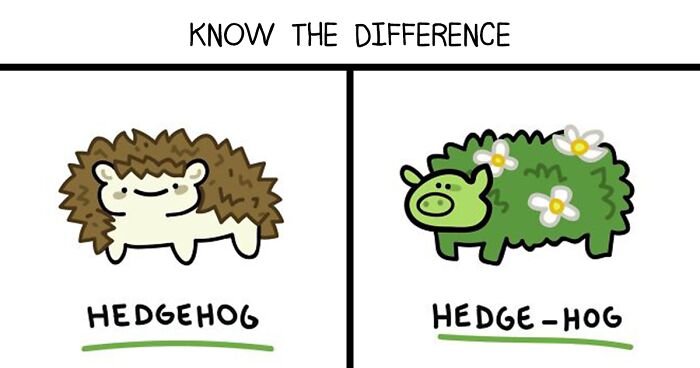 22 Illustrations Highlighting The Funny Differences Between Words That ...
