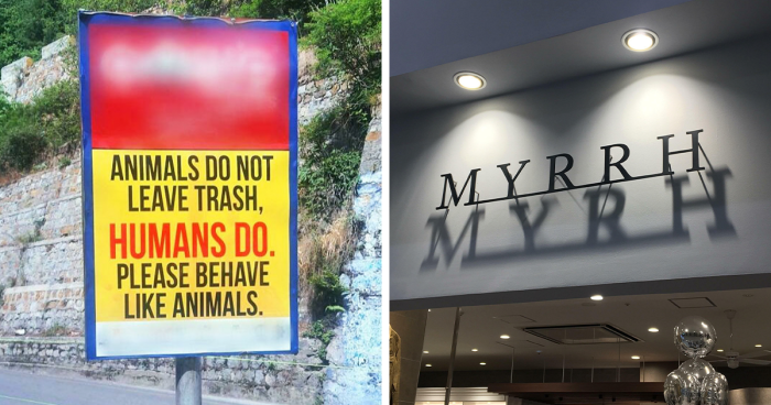 50 Clever Signs Spotted In Public That Deserved To Be Photographed (New ...