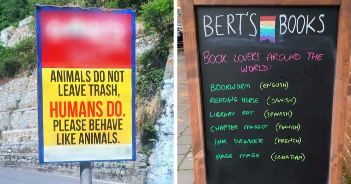 50 Clever Signs Spotted In Public That Deserved To Be Photographed (New ...