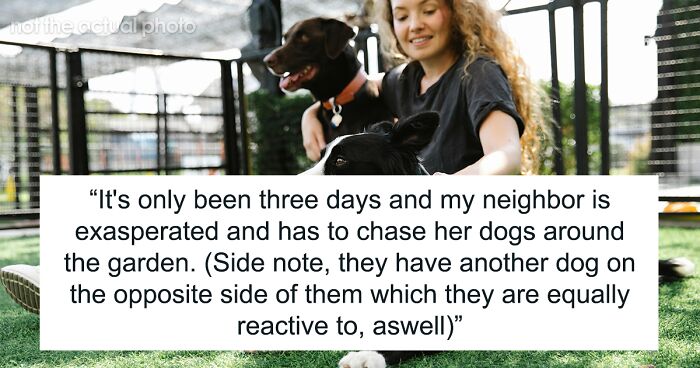 Bad Neighbors Scream At Lady For Using Her Own Yard Due To Their ...